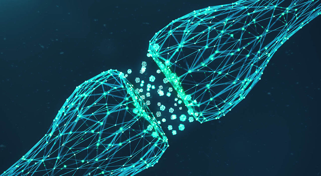 Choline Benefits – LivOn Labs